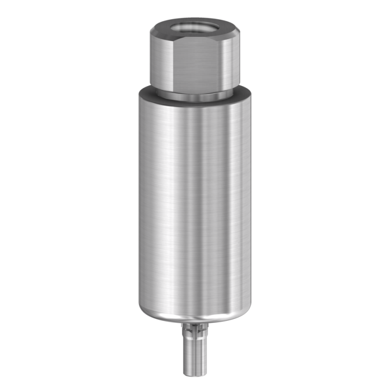 DESS® Pre-milled blanks compatible with Camlog® dental implants